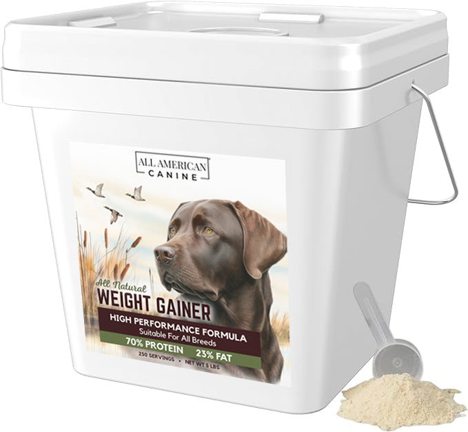 Weight Gainer For Dogs | Protein Powder For Canine Weight Gain