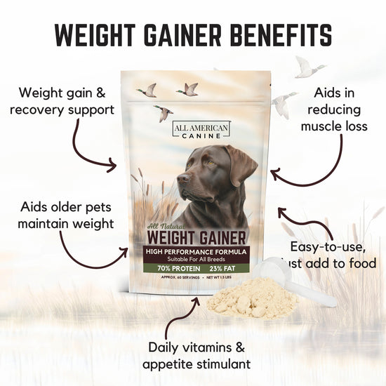 Weight Gainer For Dogs | Protein Powder For Canine Weight Gain