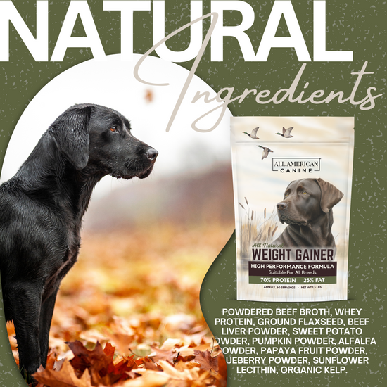 Weight Gainer For Dogs | Protein Powder For Canine Weight Gain
